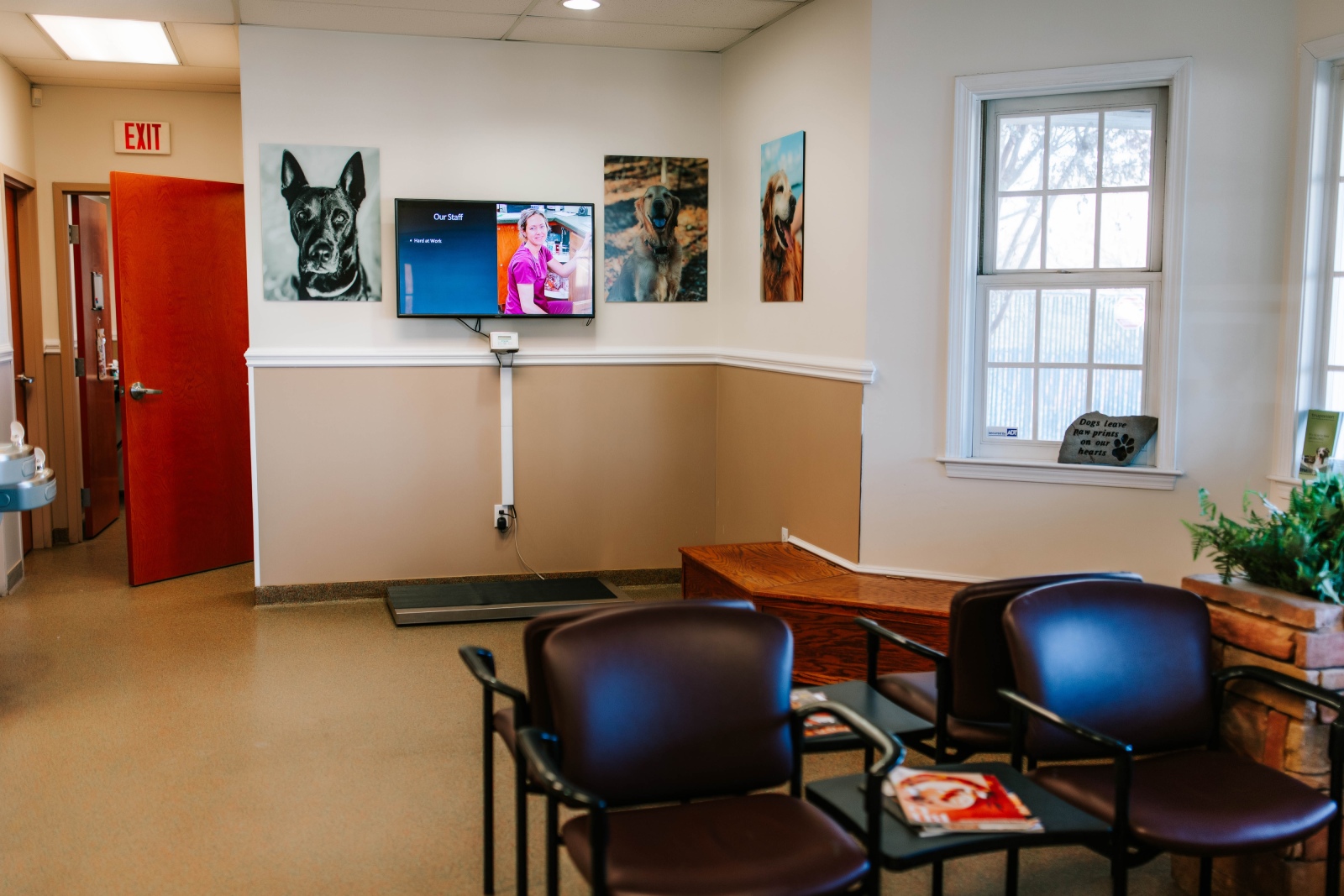 Contact Us | Fletcher Animal Hospital