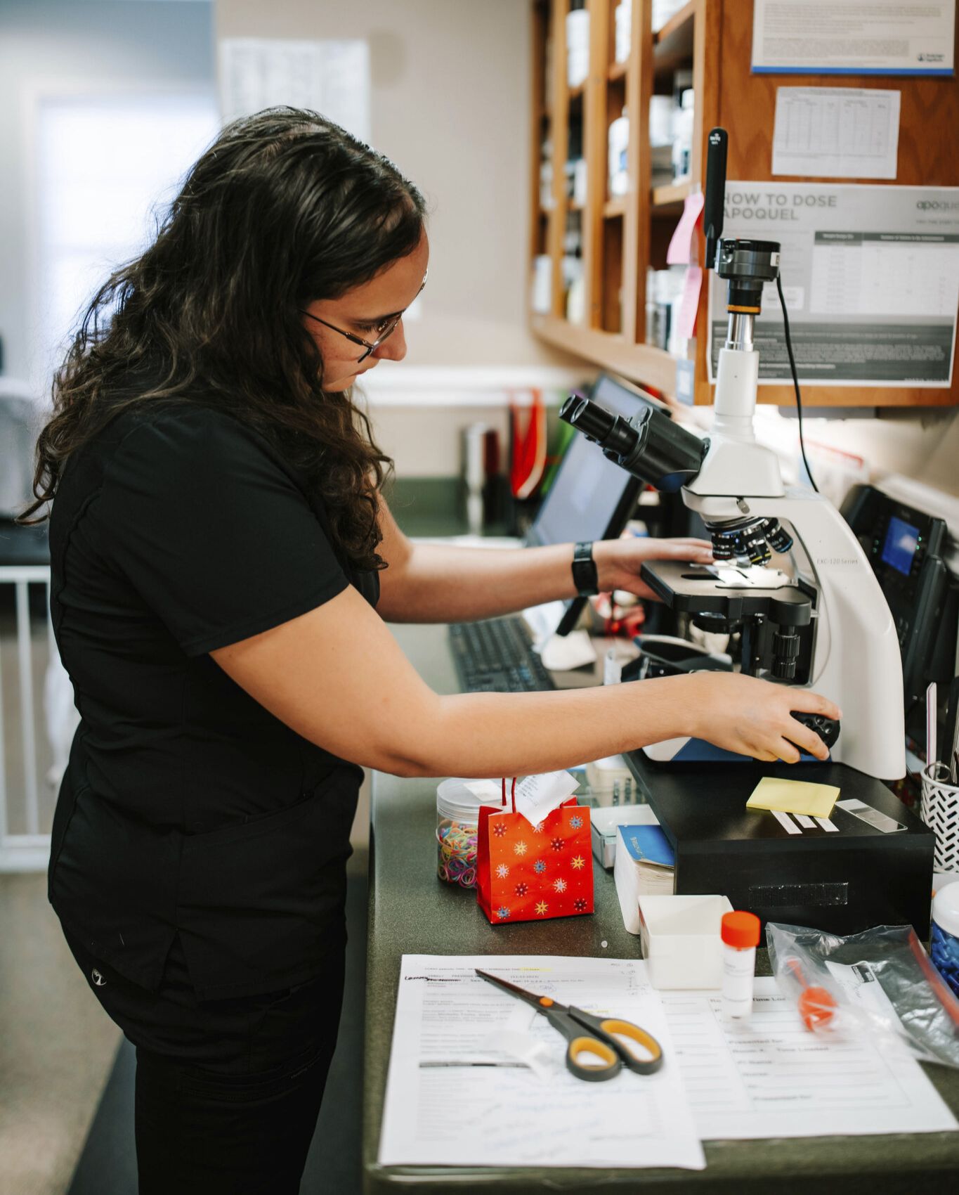 Veterinary Cytology In Fletcher, NC | Fletcher Animal Hospital